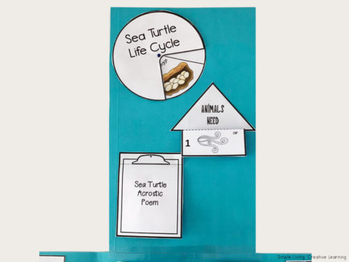 Sea Turtle Lapbook - Simple Living. Creative Learning