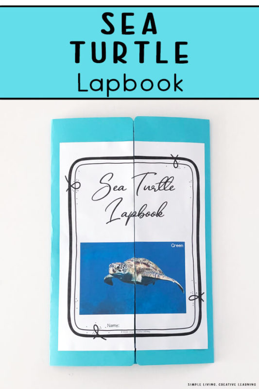 Sea Turtle Lapbook - Simple Living. Creative Learning