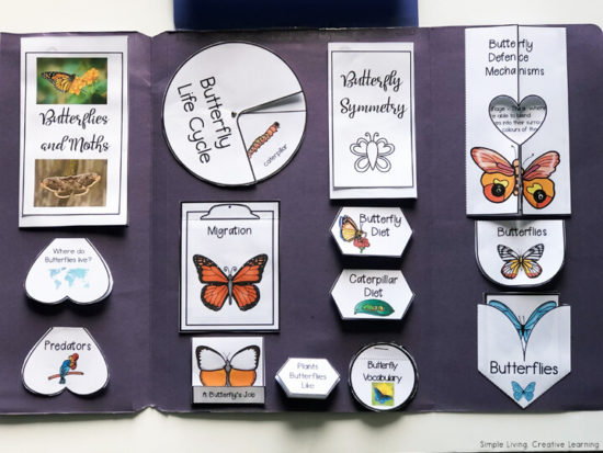 Butterfly Lapbook - Simple Living. Creative Learning