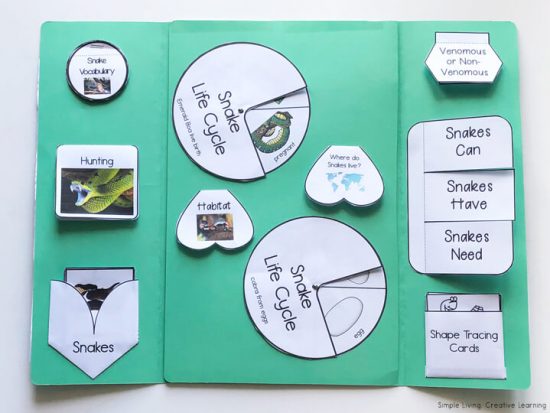 Snake Lapbook - Simple Living. Creative Learning