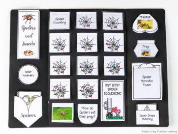 Spider Lapbook - Simple Living. Creative Learning