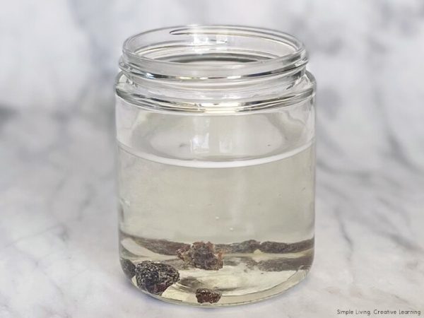 Dancing Raisins Science Experiment - Simple Living. Creative Learning