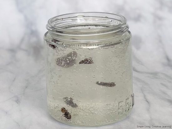 Dancing Raisins Science Experiment - Simple Living. Creative Learning