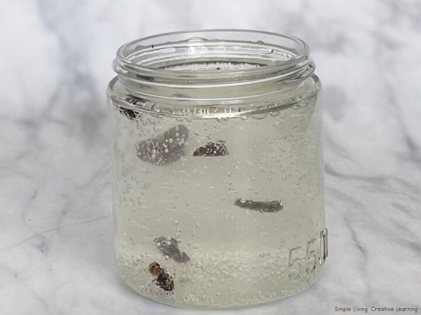 Dancing Raisins Science Experiment - Simple Living. Creative Learning