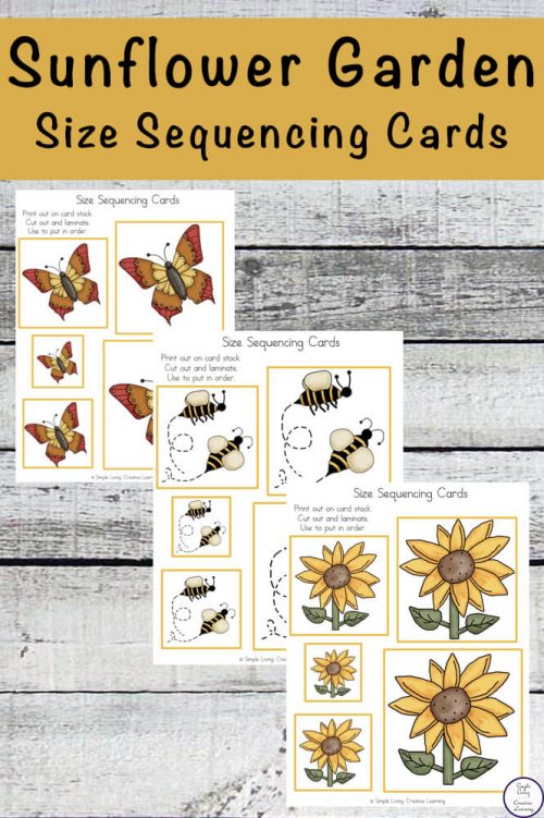 Sunflower Size Sequencing Cards - Simple Living. Creative Learning