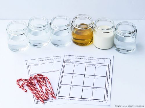 Dissolving Candy Cane Science Experiment - Simple Living. Creative Learning