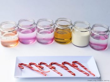 Dissolving Candy Cane Science Experiment - Simple Living. Creative Learning