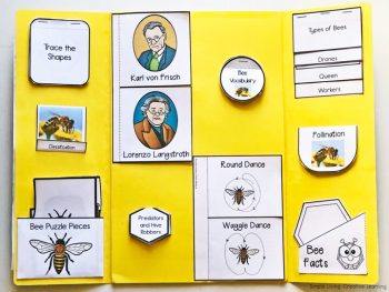 Bee Lapbook - Simple Living. Creative Learning