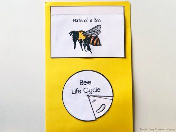 Bee Lapbook - Simple Living. Creative Learning