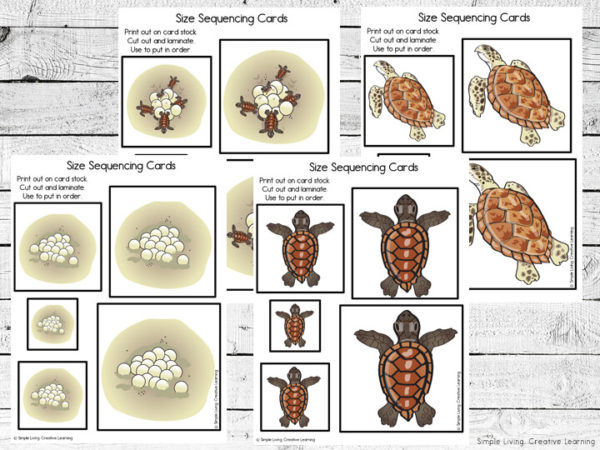 Printable Turtle Size Sequencing Cards - Simple Living. Creative Learning