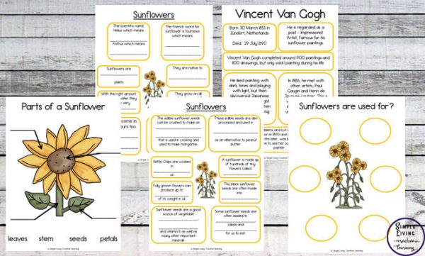 Our Sunflower Study - Simple Living. Creative Learning