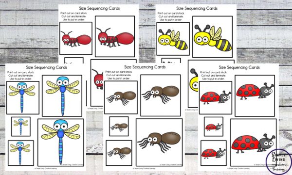 Bug and Insect Size Sequencing Cards - Simple Living. Creative Learning