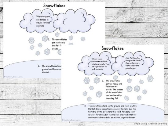 Snowflake Life Cycle Printables - Simple Living. Creative Learning