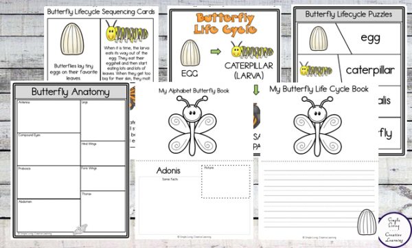 Butterfly Unit - Simple Living. Creative Learning