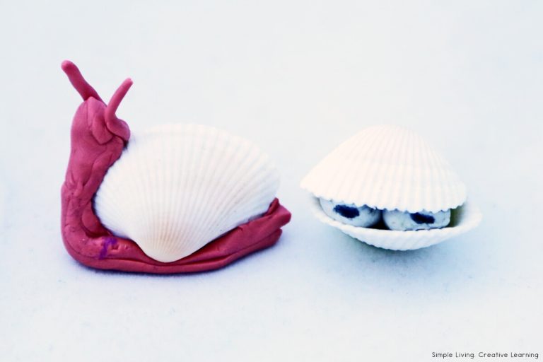 Sea Shell Creatures - Simple Living. Creative Learning