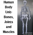 Human Body: Bones, Joints and Muscles - Simple Living. Creative Learning