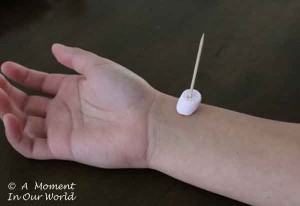 Human Body: Heart, Blood and Circulatory System - Simple Living ...