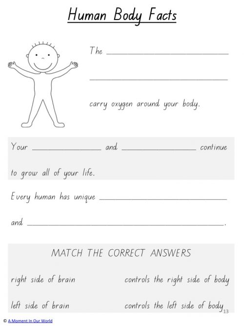 Human Body Unit - Simple Living. Creative Learning