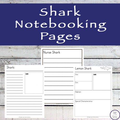 Shark Cards - Simple Living. Creative Learning