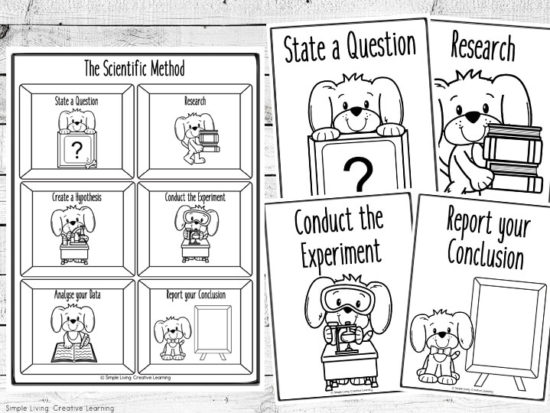 Science Experiment Worksheet