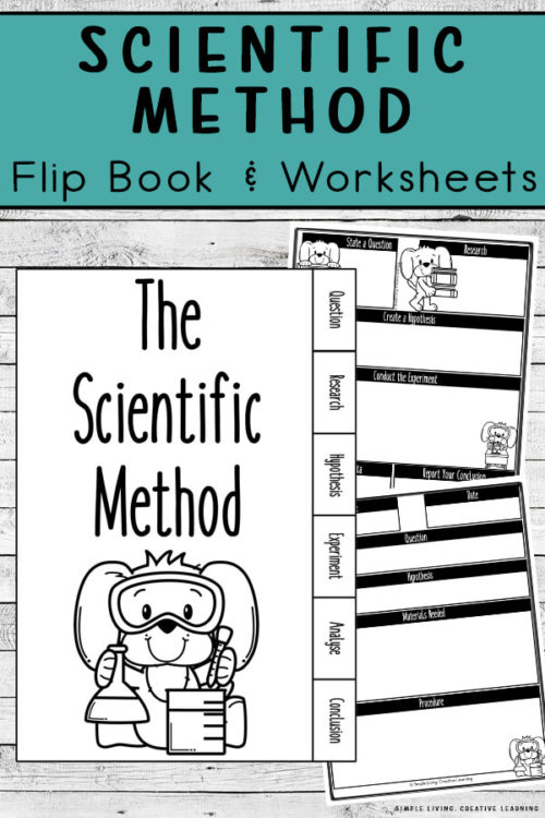 Science Experiment Worksheet