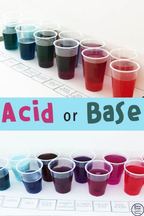 Acid or Base Experiment - Simple Living. Creative Learning