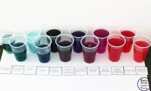 Acid or Base Experiment - Simple Living. Creative Learning