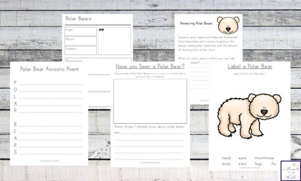 Mini Polar Bear Unit - Simple Living. Creative Learning