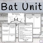 Bat Unit - Simple Living. Creative Learning