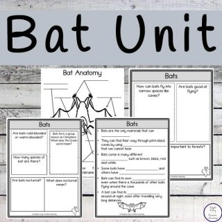 Bat Unit - Simple Living. Creative Learning