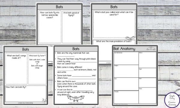 All about Bats - Simple Living. Creative Learning