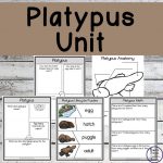 Platypus Unit - Simple Living. Creative Learning