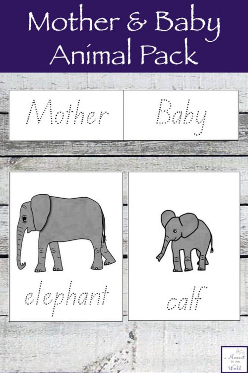 Mother and Baby Animal Pack - Simple Living. Creative Learning