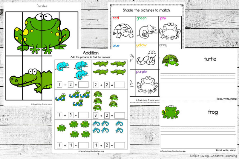 Reptiles and Amphibians Printables - Simple Living. Creative Learning