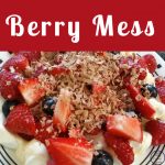 Berry Mess - Simple Living. Creative Learning