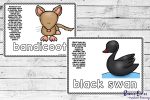 Australian Animals Playdough and Tracing Mats - Simple Living. Creative ...