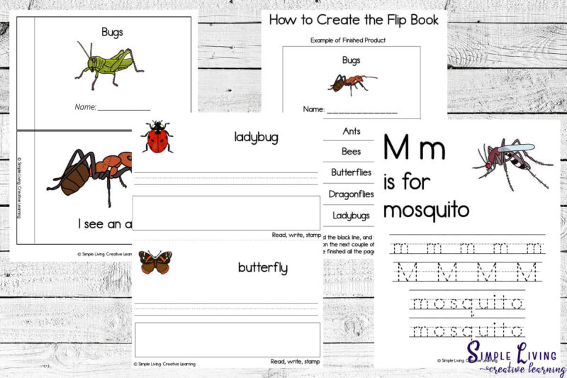 Bug Printables - Simple Living. Creative Learning