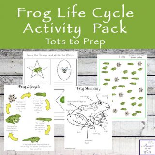 Frog Life Cycle Activity Pack - Simple Living. Creative Learning
