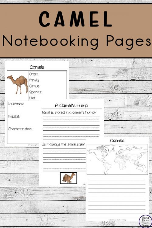 Camel Notebooking Pages - Simple Living. Creative Learning