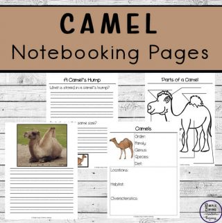 Printables Archives - Page 65 of 86 - Simple Living. Creative Learning