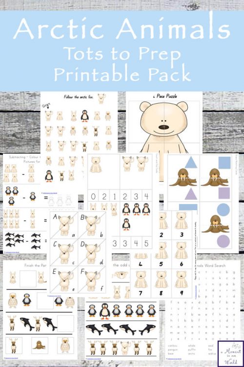 Arctic Animals Tots to Prep Printable Pack - Simple Living. Creative ...