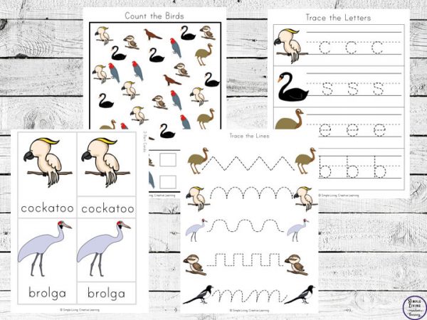 Australian Birds Printable Pack - Simple Living. Creative Learning