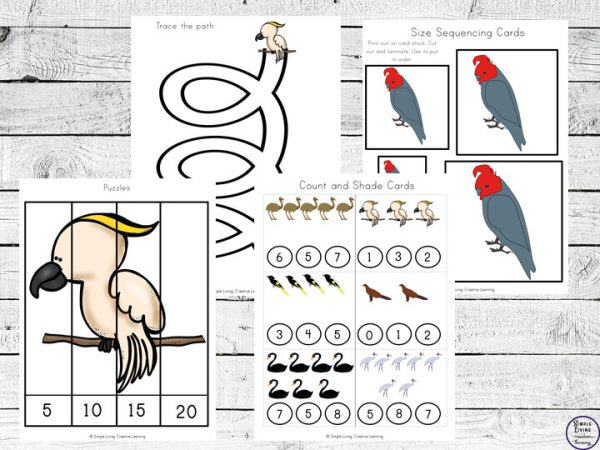 Australian Birds Printable Pack - Simple Living. Creative Learning