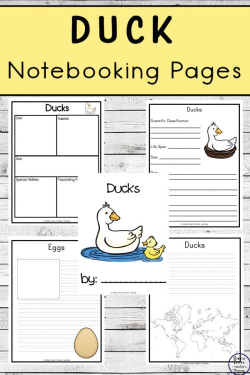 Duck Notebooking Pages - Simple Living. Creative Learning