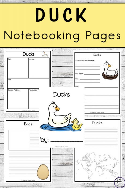Duck Notebooking Pages - Simple Living. Creative Learning