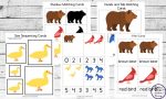 Brown Bear Card Pack - Simple Living. Creative Learning