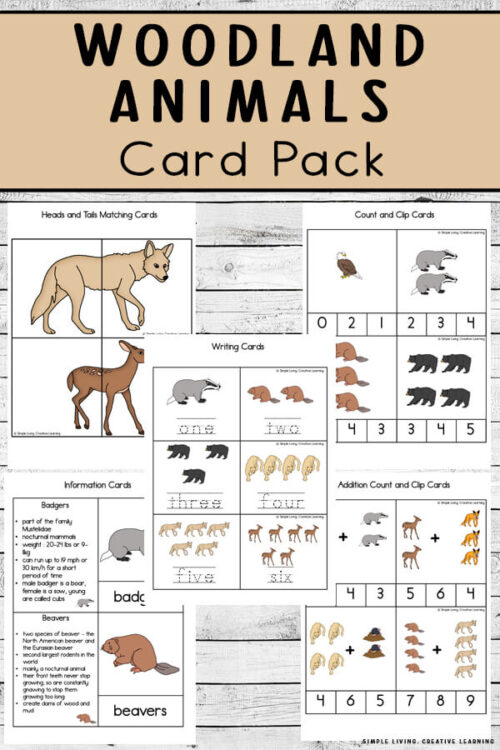 Woodland Animals Card Pack - Simple Living. Creative Learning