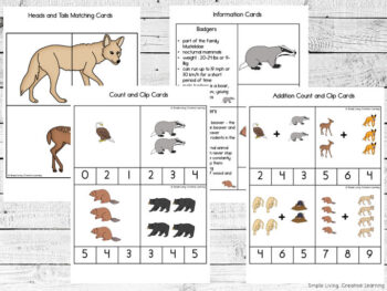 Woodland Animals Card Pack - Simple Living. Creative Learning