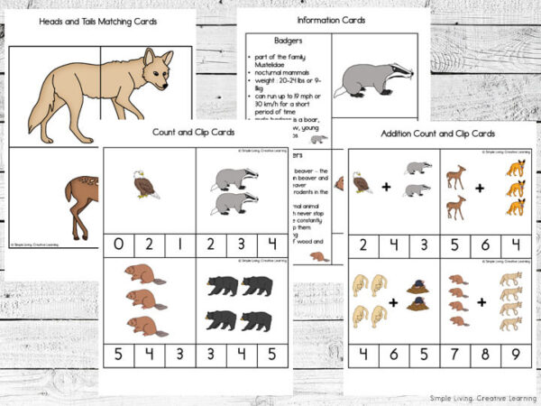 Woodland Animals Card Pack - Simple Living. Creative Learning