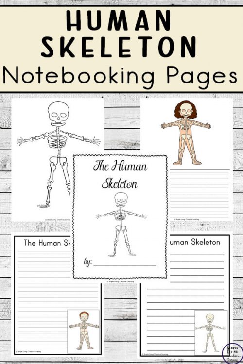 Skeleton Notebooking Pages - Simple Living. Creative Learning